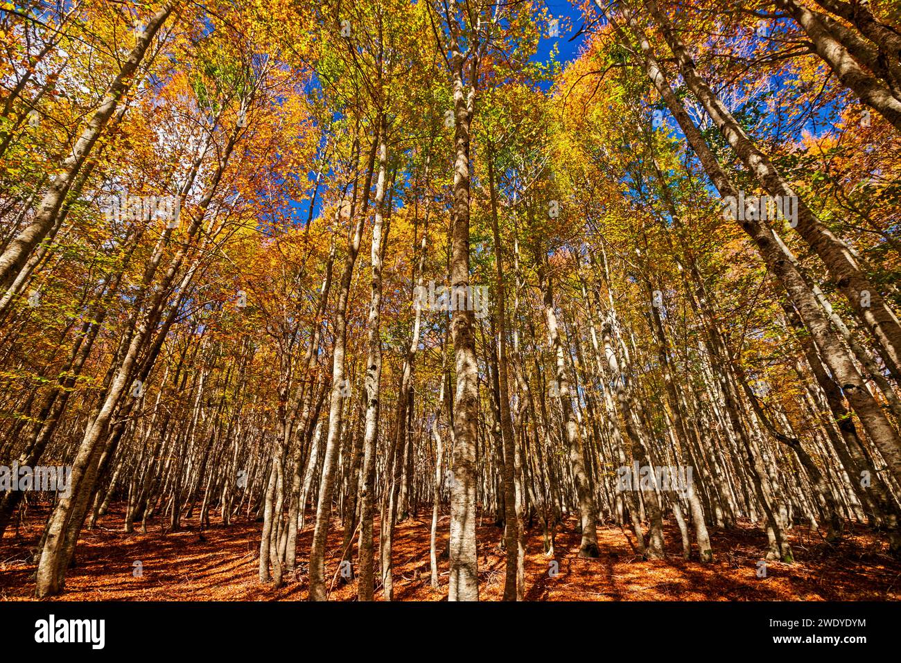 Pindus mountain range hi-res stock photography and images - Alamy