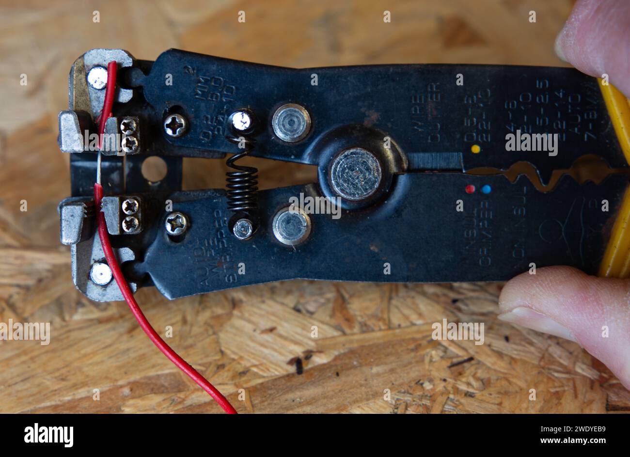Close-up of wire strippers with a stripped electrical cable in the jaws ...