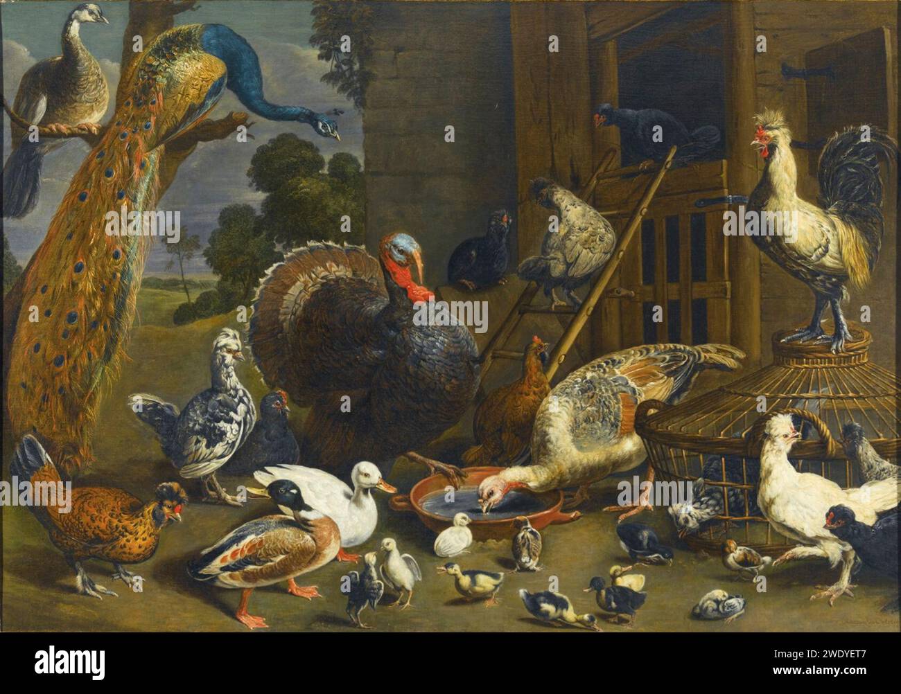 Van utrecht adriaen peacock hi-res stock photography and images - Alamy
