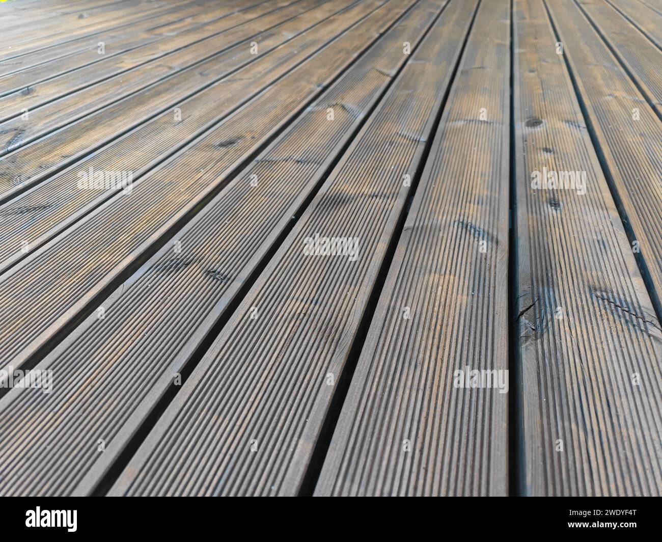 Fluted pine wood terrace freshly impregnated with dark brown oil ...