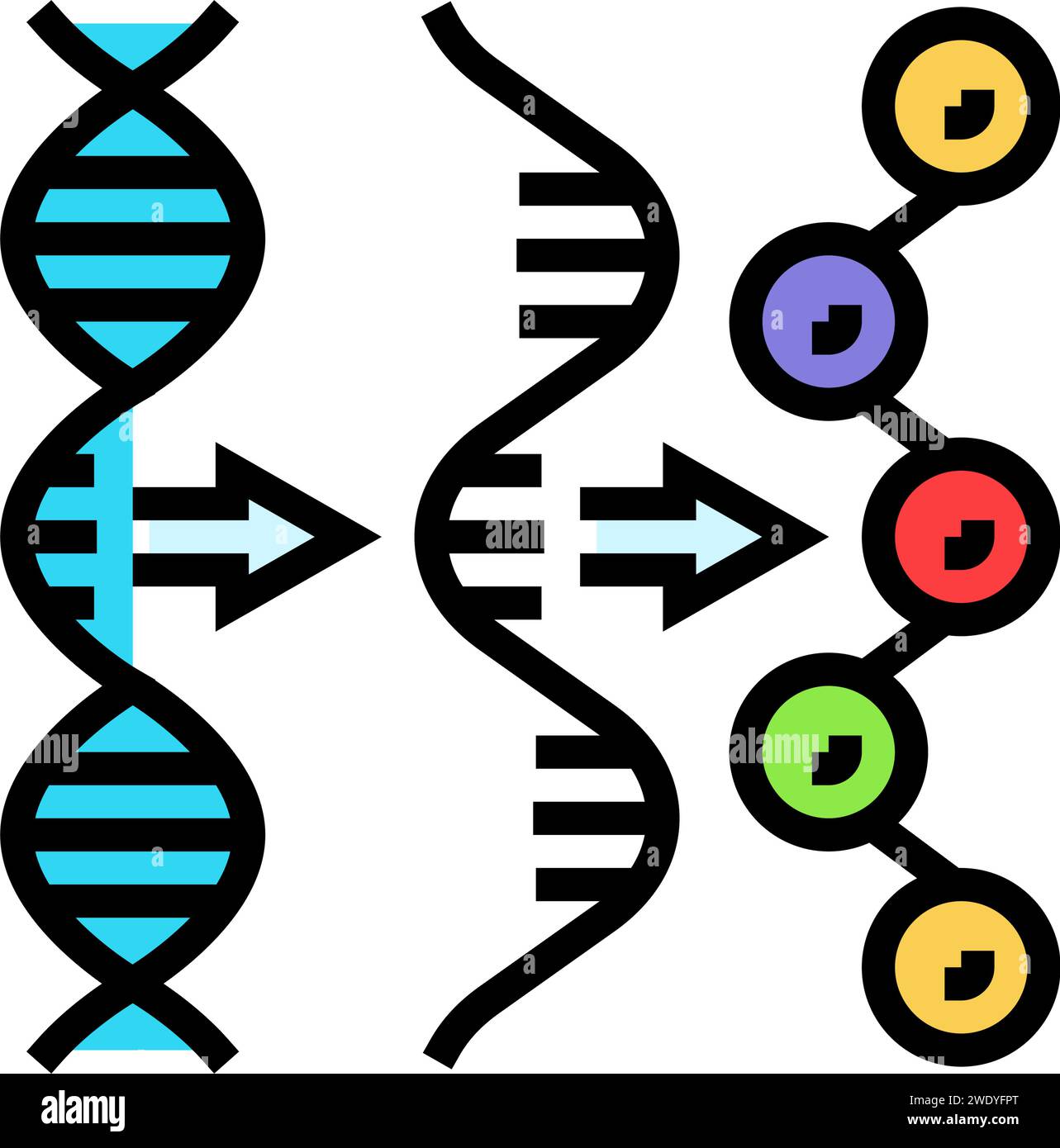 Gene Expression Cryptogenetics Color Icon Vector Illustration Stock