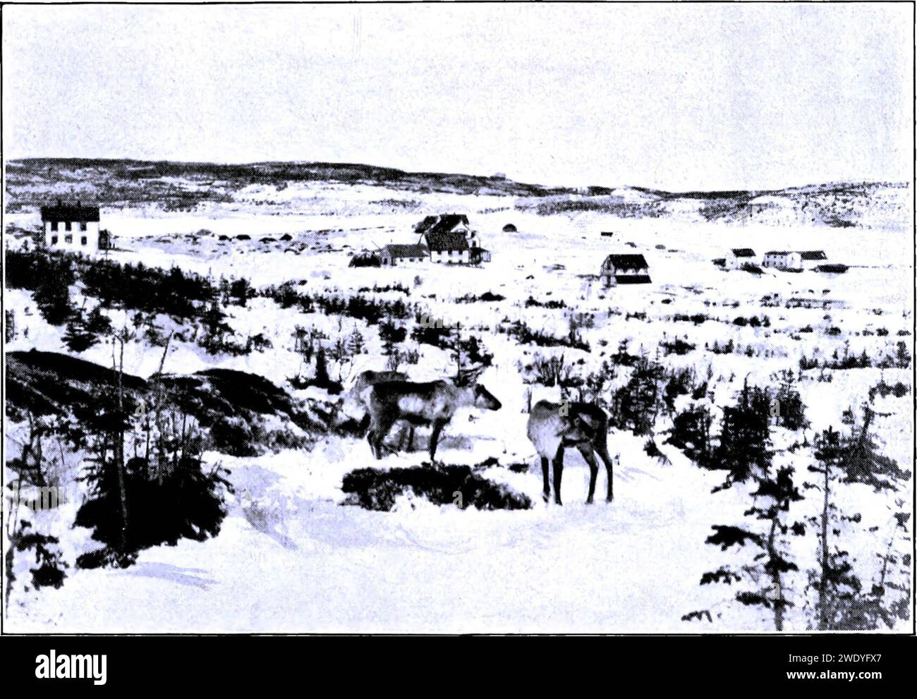 Adrift on an Ice-Pan (1909), 2p Stock Photo - Alamy