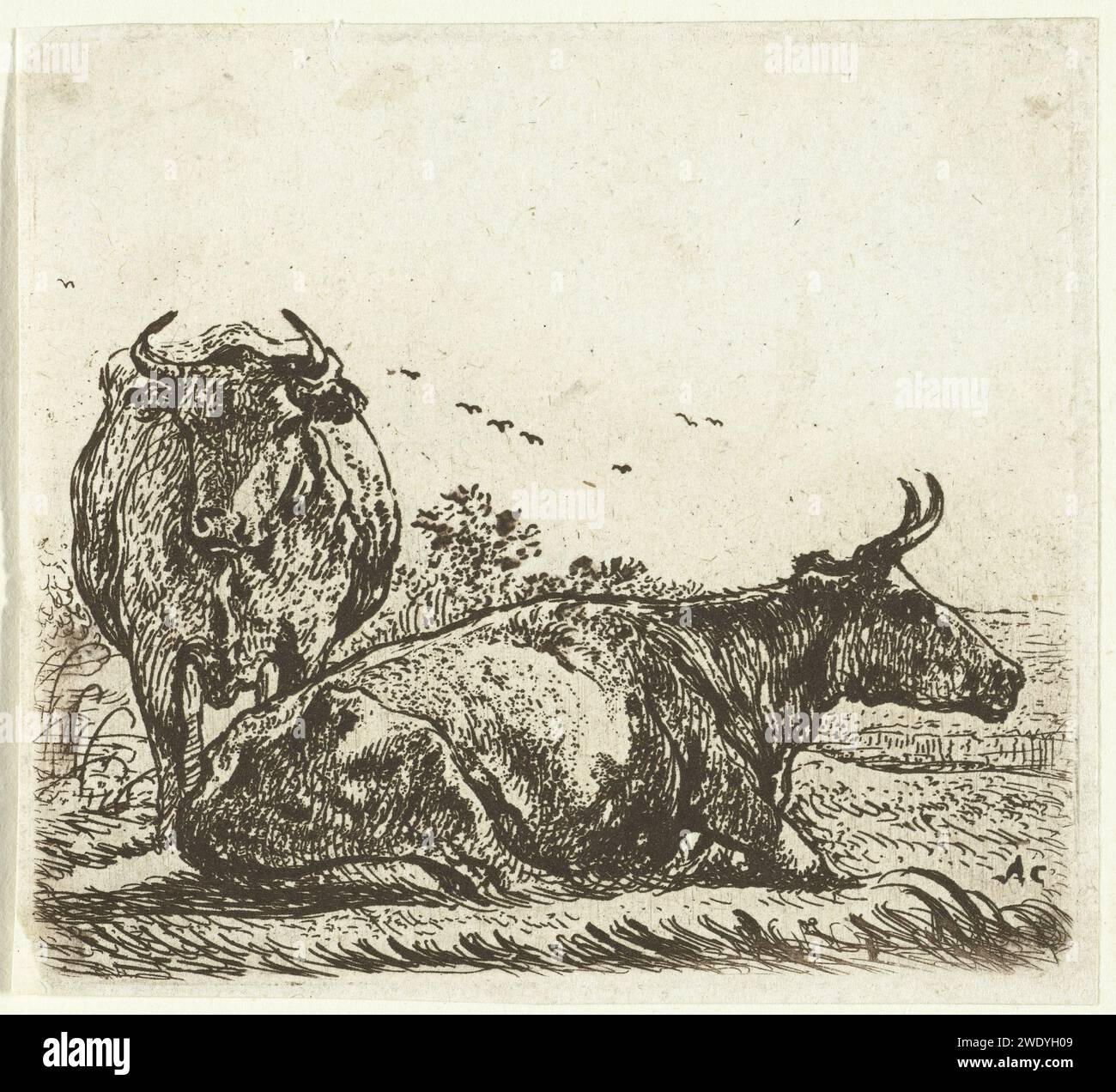 Two cows, Aelbert Cuyp, 1630 - 1691 print paper etching cow Stock Photo ...