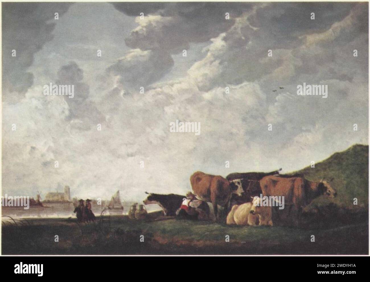 Six cows hi-res stock photography and images - Alamy