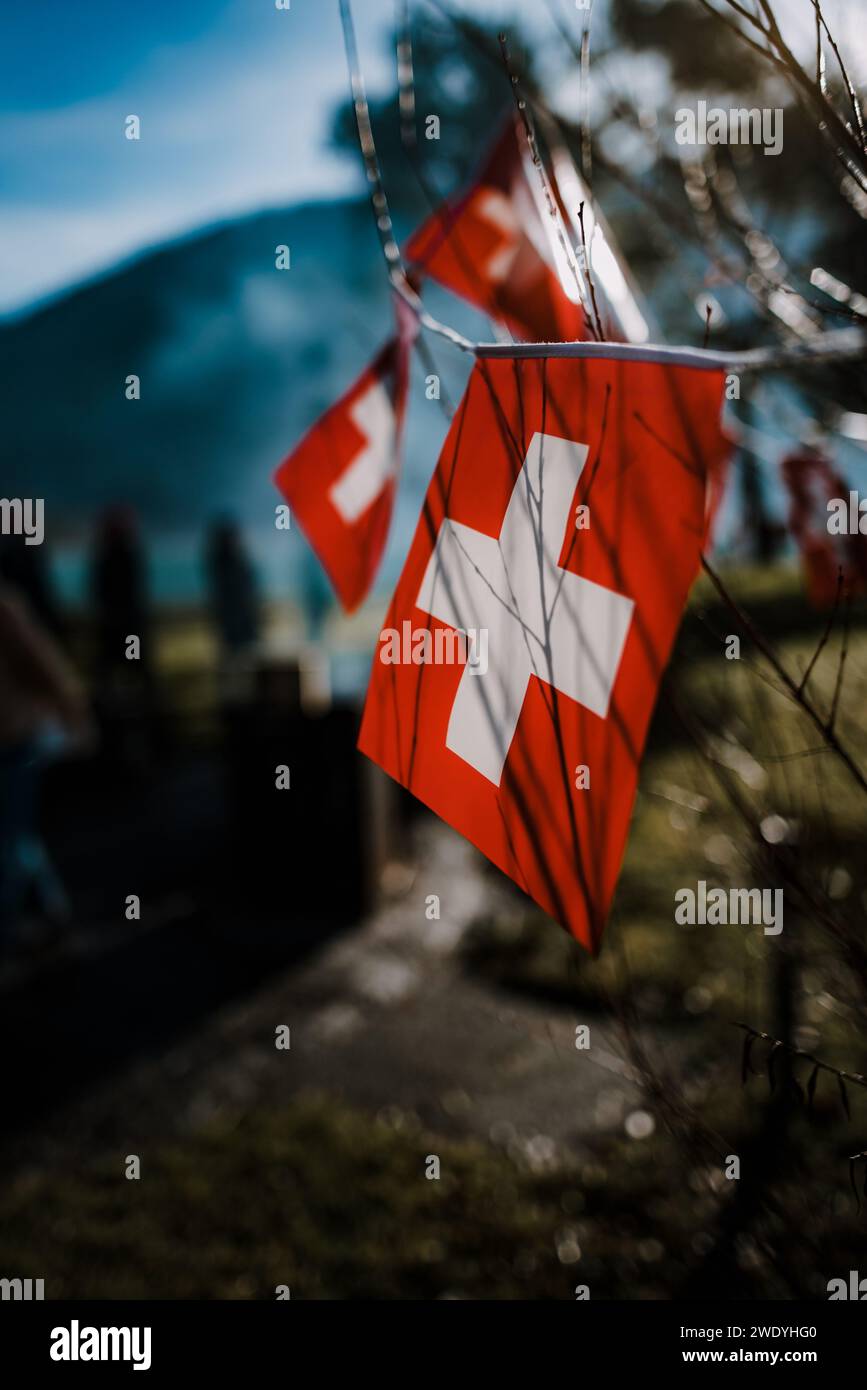 Bandera suiza francia hi-res stock photography and images - Alamy