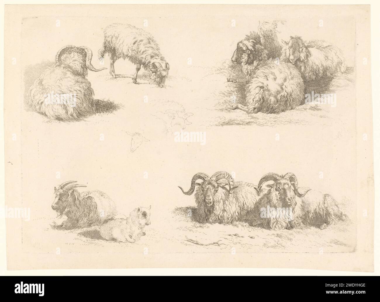 Four performances with sheep and goats, Pieter Gerardus van Os, c. 1800 ...