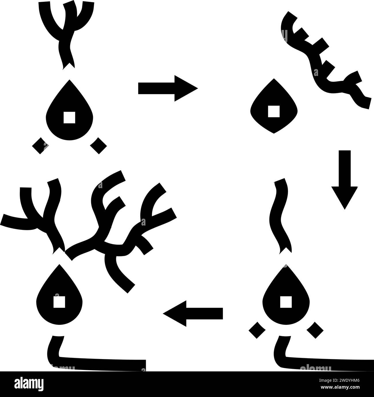 neurogenesis neuroscience neurology glyph icon vector illustration ...