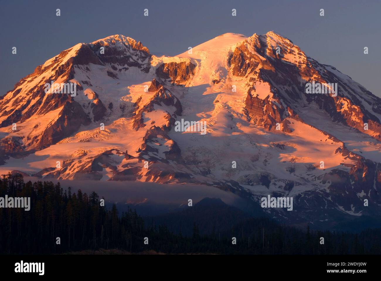 Mt Rainier from Glacier View Trailhead area, Glacier View Wilderness ...