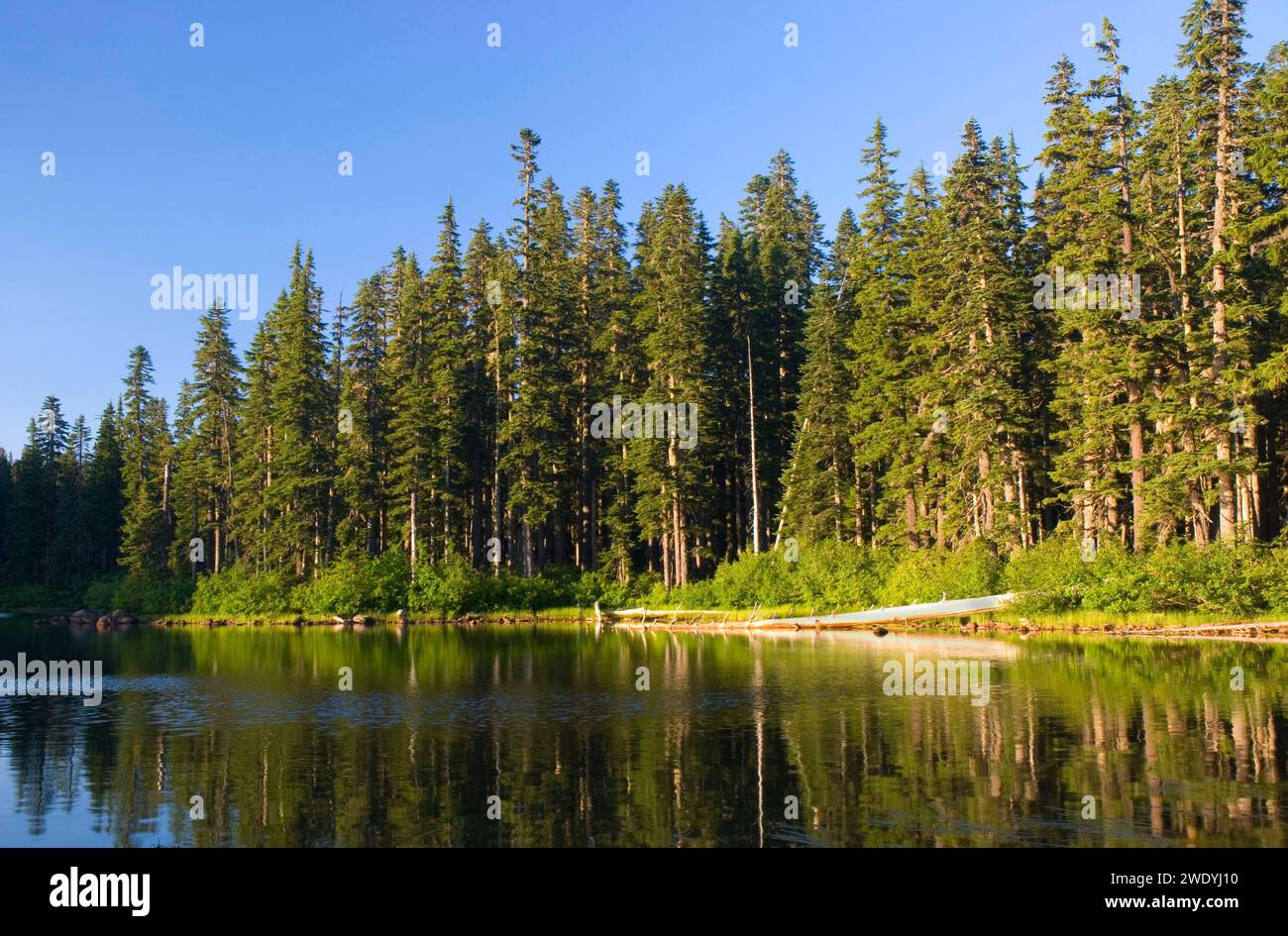 Thomas Lake, Indian Heaven Wilderness, Gifford Pinchot National Forest ...