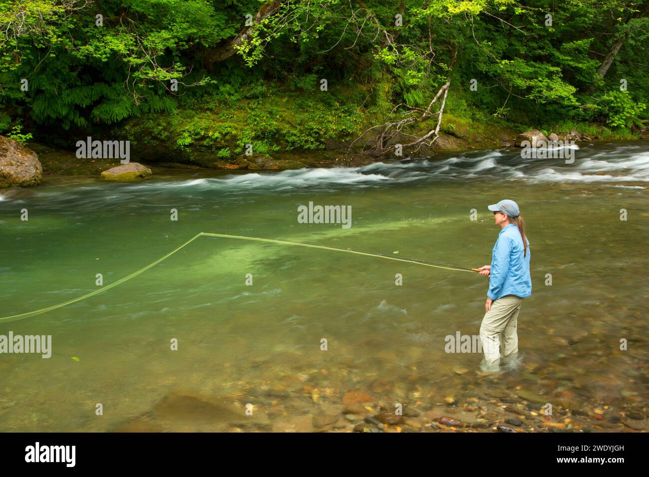 Fly fishing the Lewis River, Gifford Pinchot National Forest ...