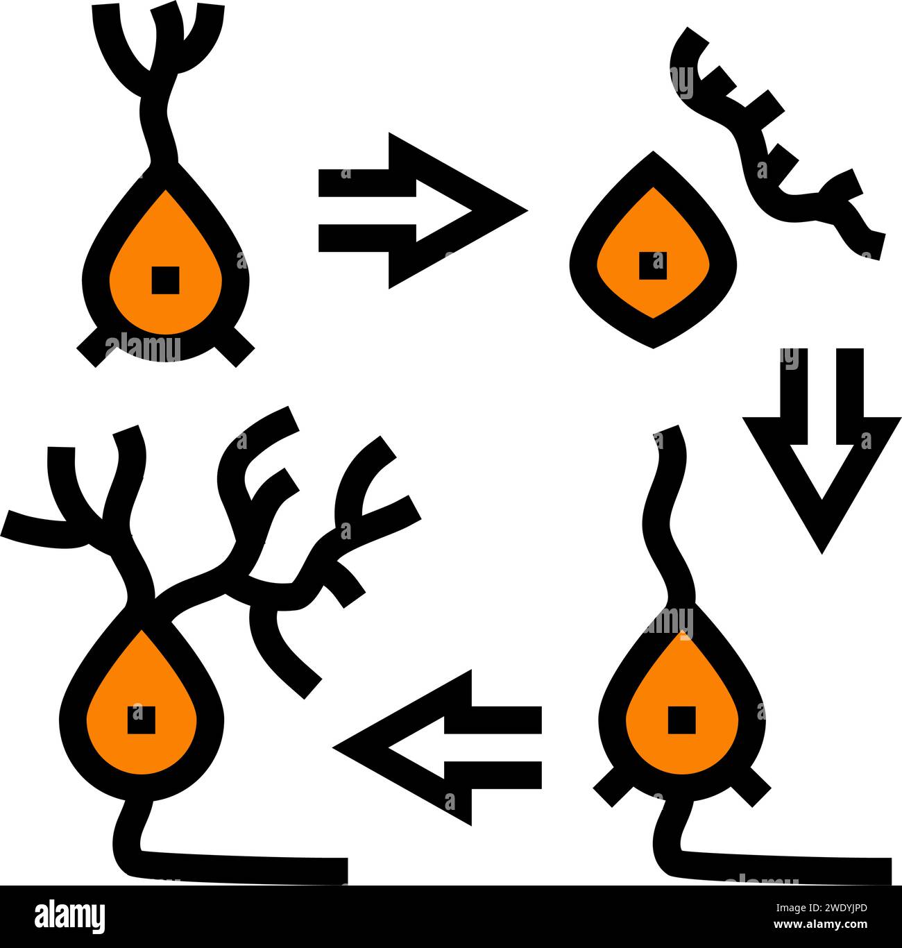 neurogenesis neuroscience neurology color icon vector illustration ...