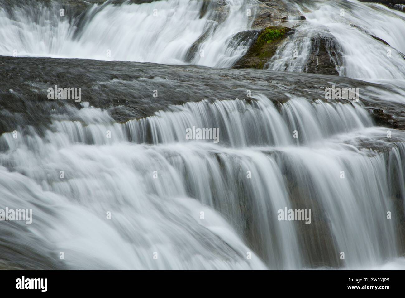 Middle Falls along the Lewis River Trail, Gifford Pinchot National ...