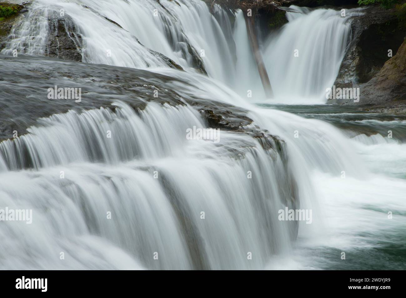 Middle Falls along the Lewis River Trail, Gifford Pinchot National ...
