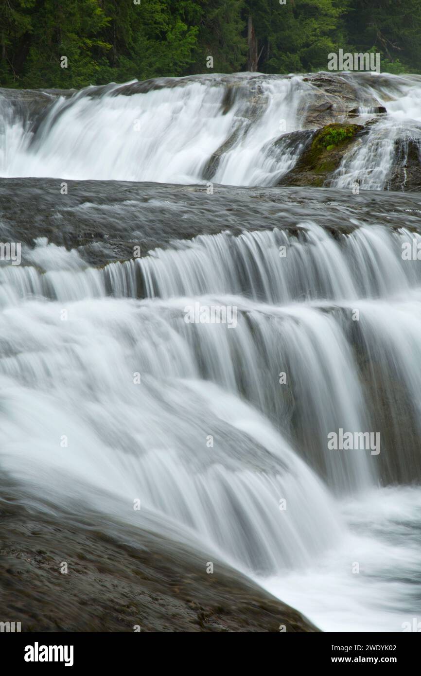 Middle Falls along the Lewis River Trail, Gifford Pinchot National ...