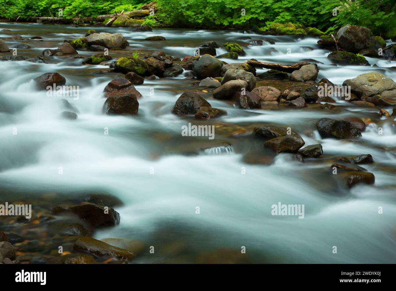 Lewis River below Twin Falls, Gifford Pinchot National Forest ...