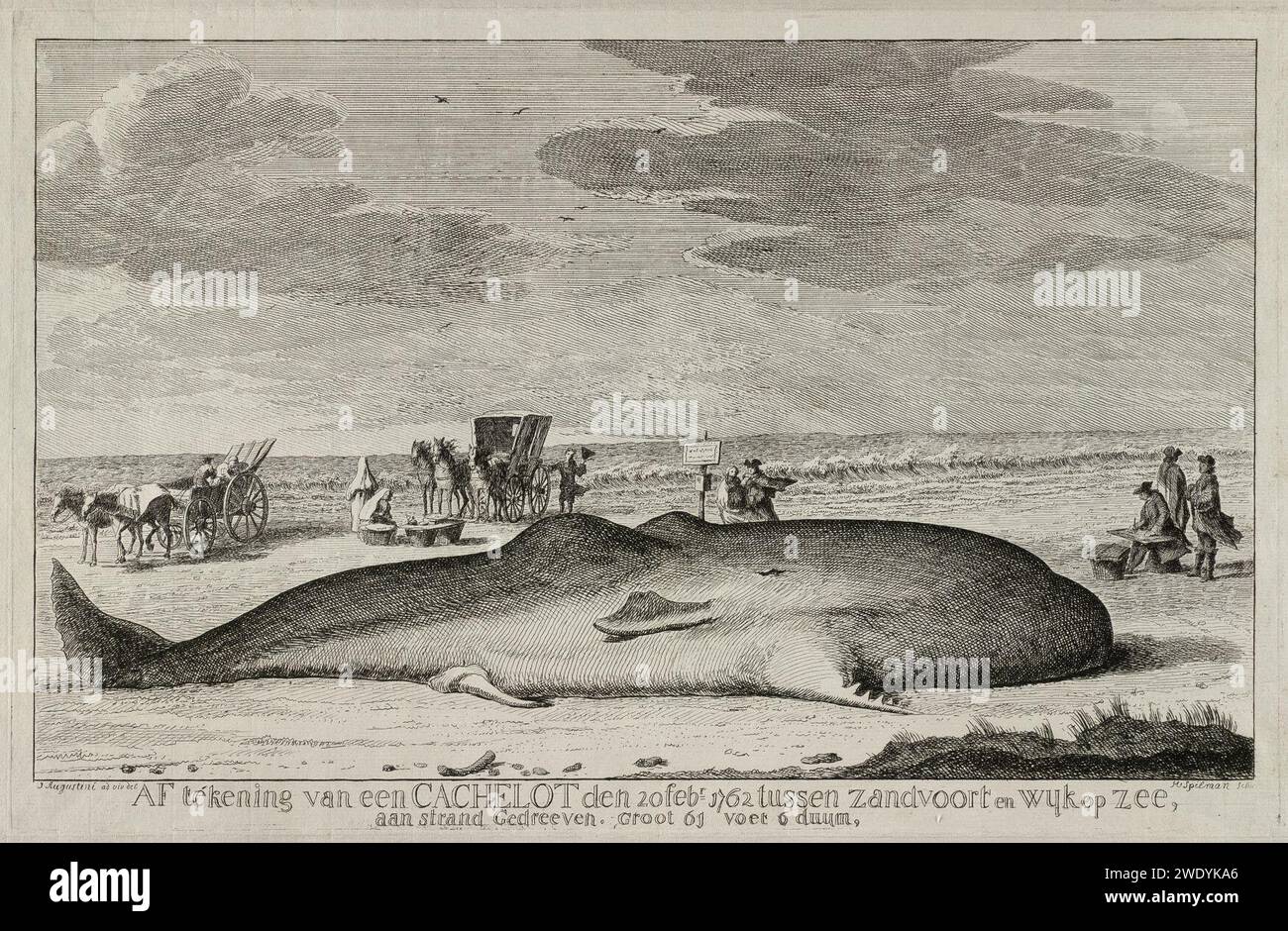 Af tékening van een Cachelot den 20 febr. 1762 tussen Zandvoort en Wyk ...