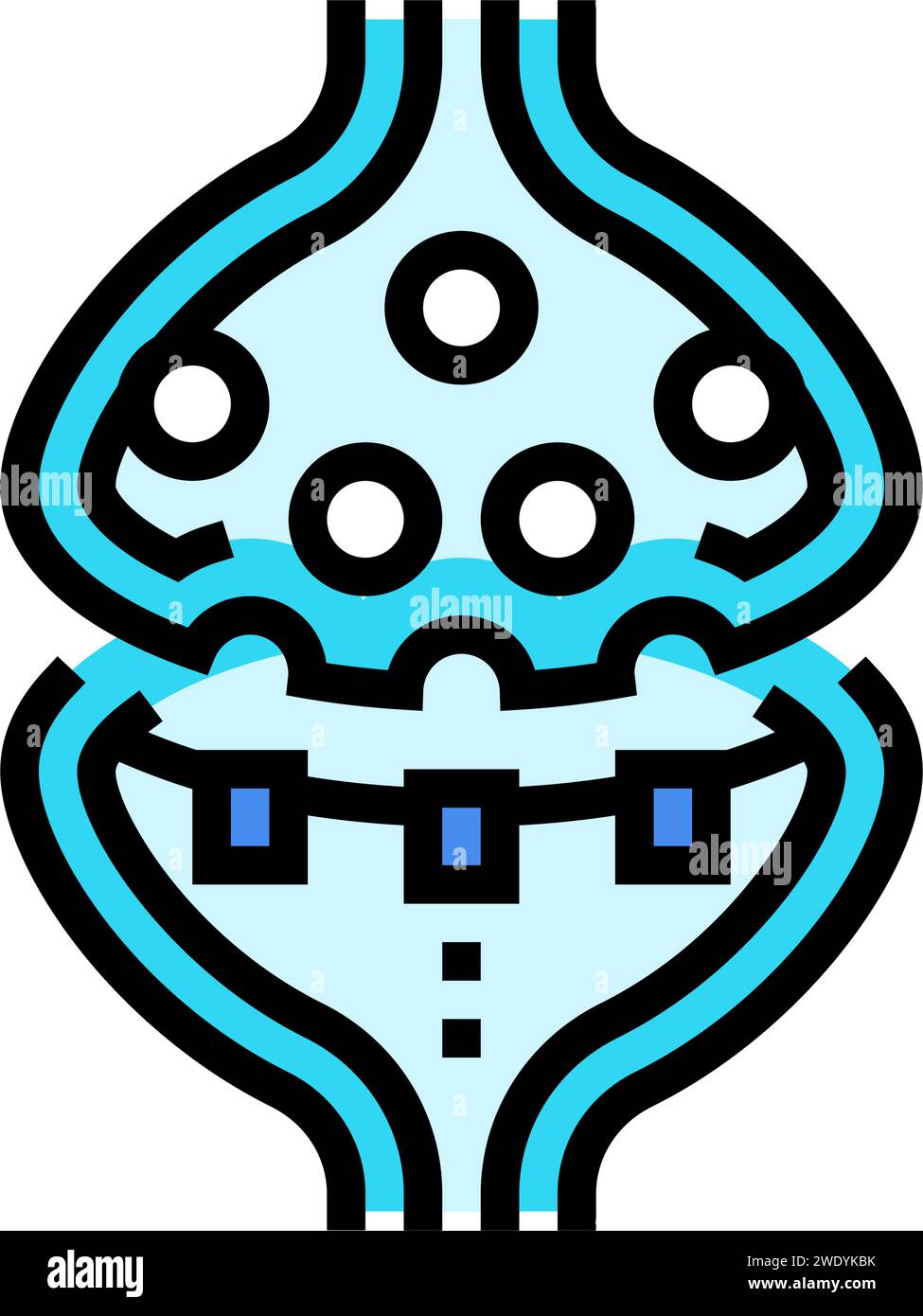 synaptic transmission neuroscience neurology color icon vector ...