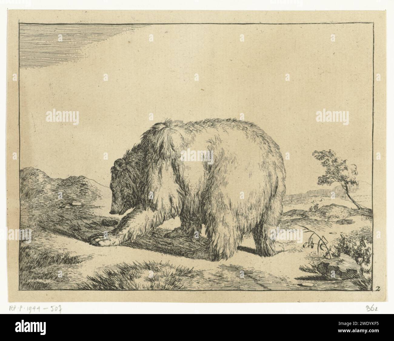 Standing bear, seen from behind, Marcus de Bye, After Marcus Gheeraerts ...