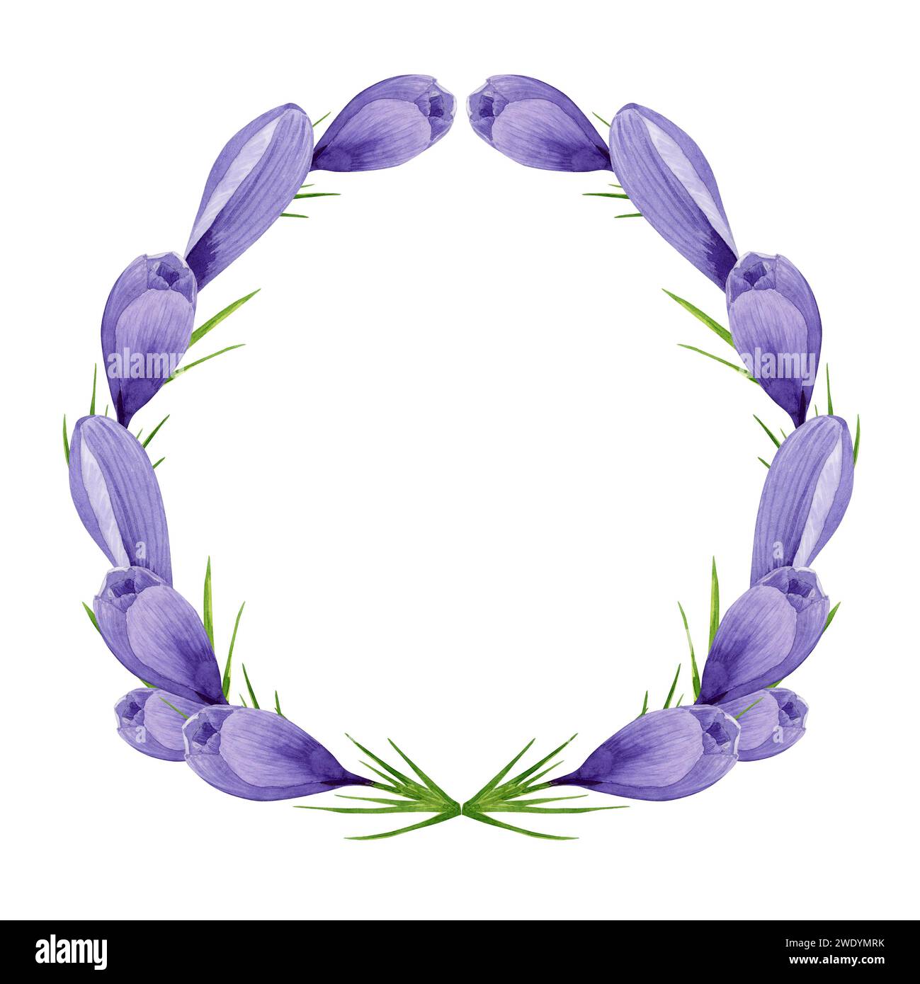 Purple crocuses wreath, spring flowers frame. Hand painted watercolor ...