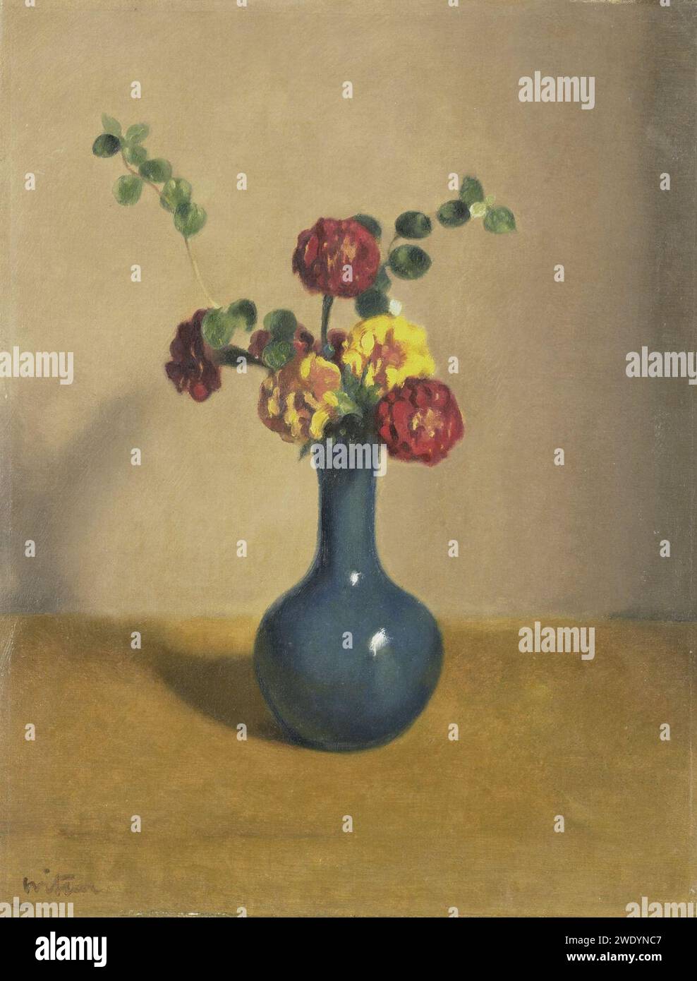 Afrikaantjes hi-res stock photography and images - Alamy