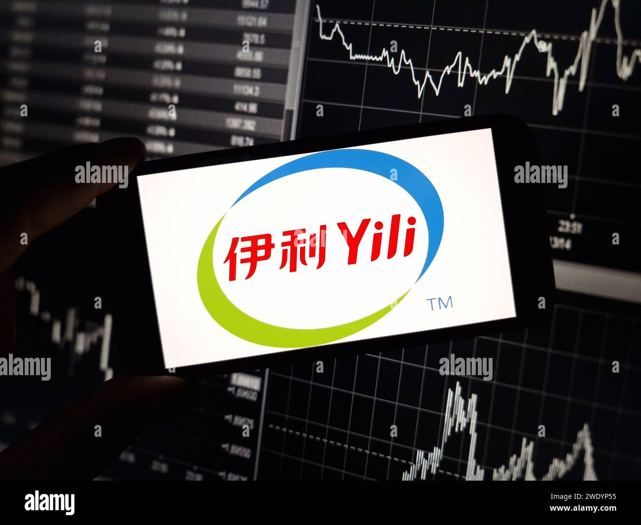 Konskie, Poland - January 22, 2024: Yili Group company logo displayed ...