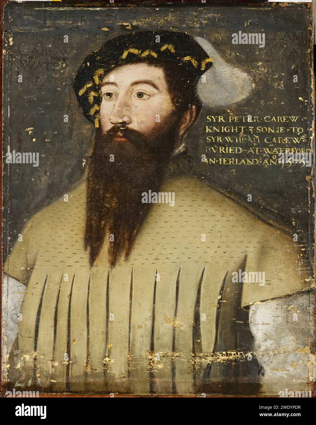 After Gerlach Flicke (d. 1558) - Sir Peter Carew Stock Photo - Alamy