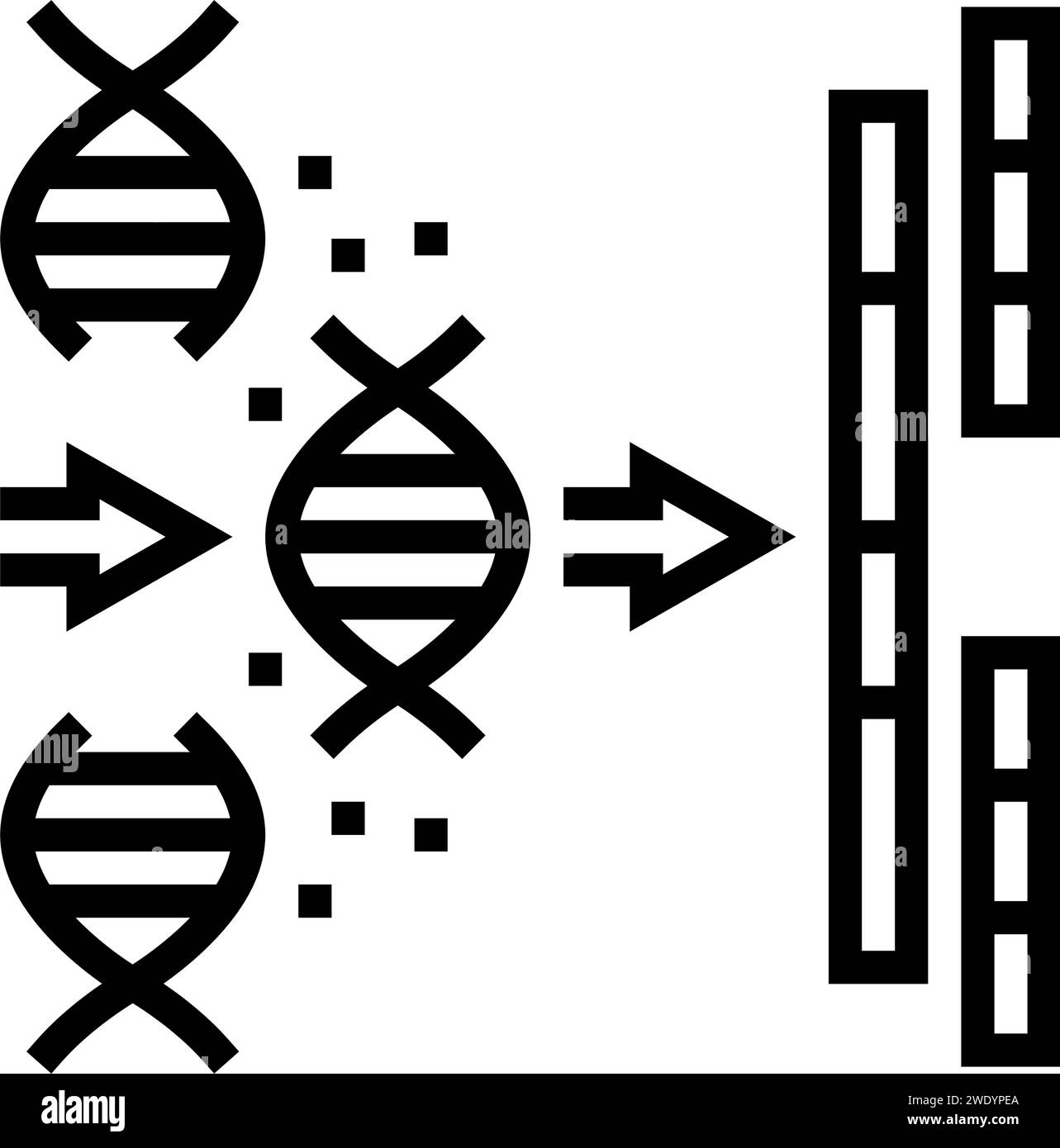 Gene Splicing Cryptogenetics Line Icon Vector Illustration Stock Vector