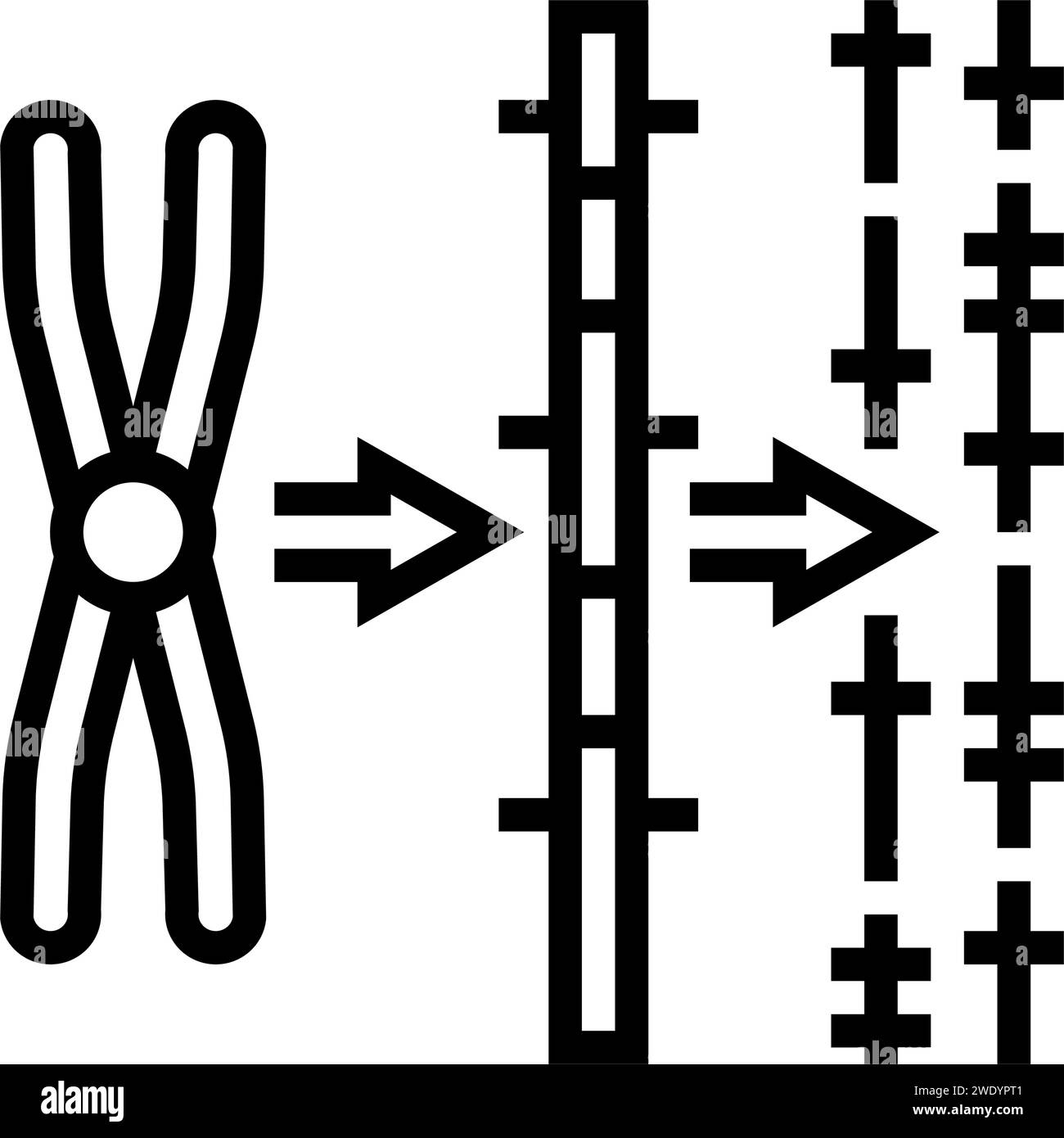 gene mapping cryptogenetics line icon vector. gene mapping ...