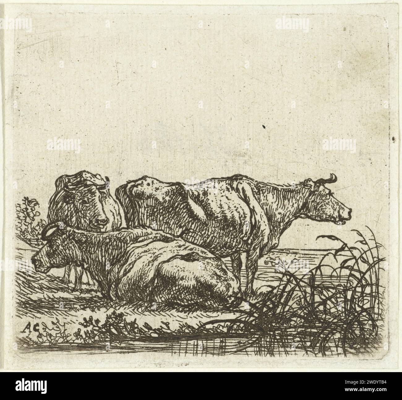 Three Cows, Aelbert Cuyp, 1630 - 1691 print paper etching cow Stock ...