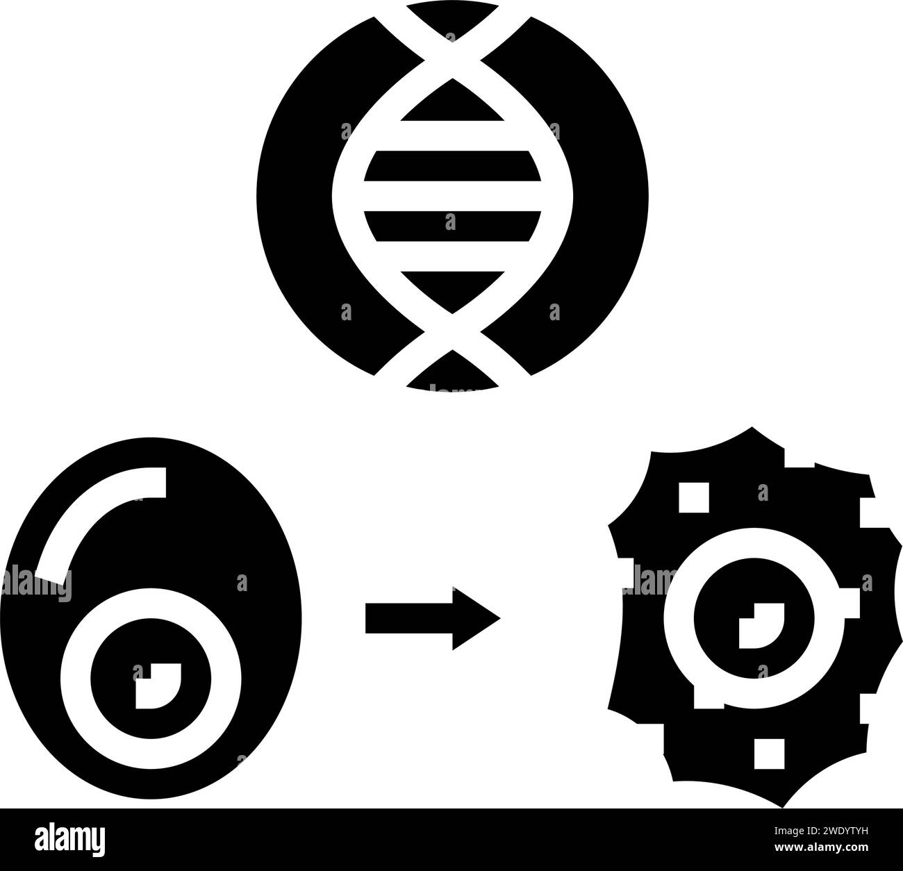 Cellular Reprogramming Cryptogenetics Glyph Icon Vector Illustration