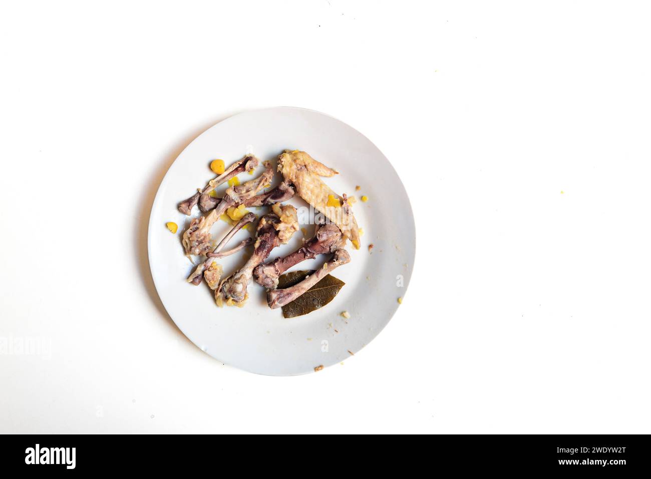 Chicken bones of wing Stock Photo - Alamy