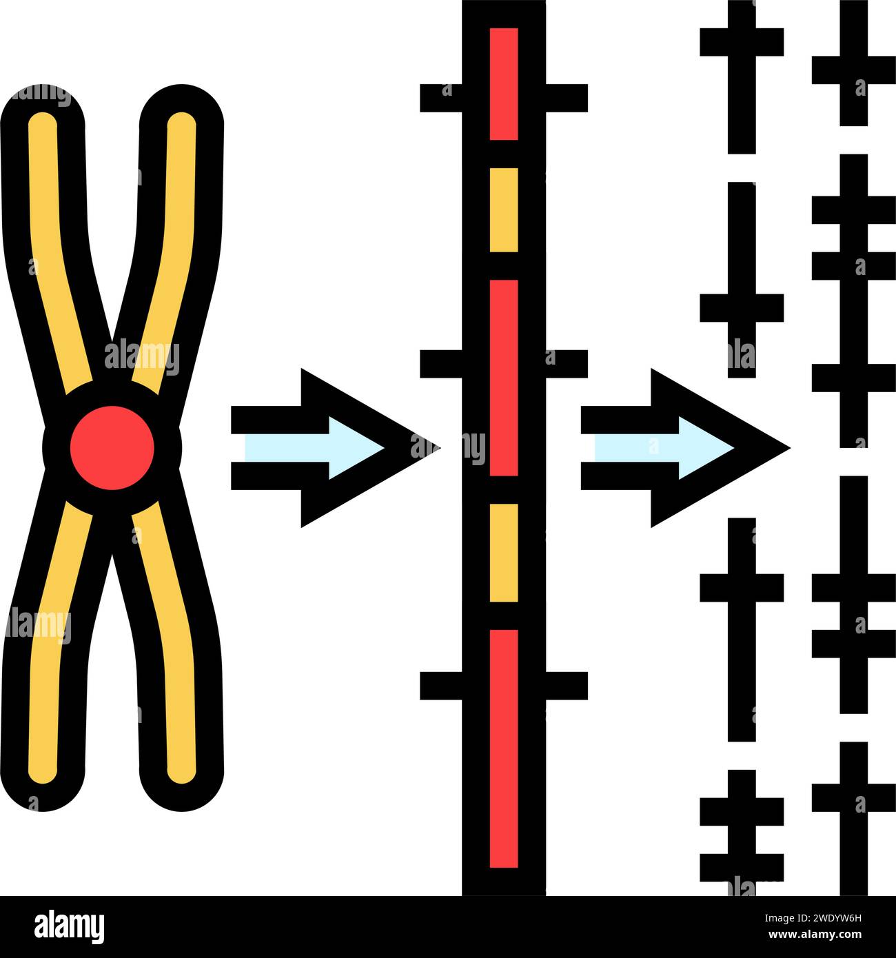 Gene Mapping Cryptogenetics Color Icon Vector Illustration Stock Vector