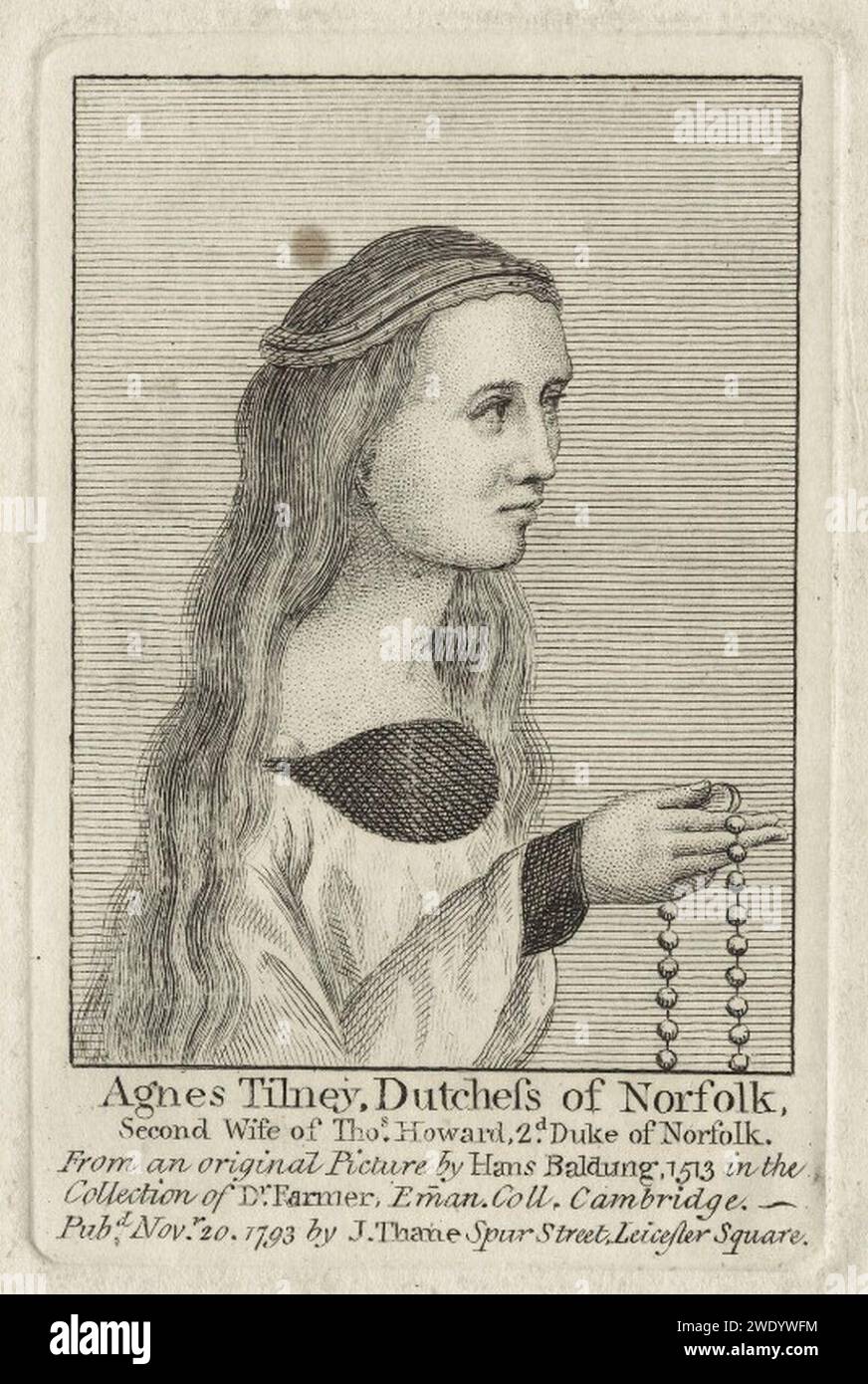 Tilney norfolk hi-res stock photography and images - Alamy