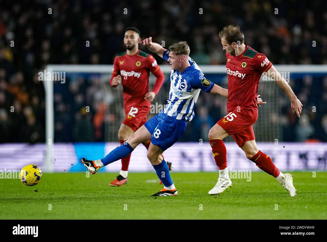 Brighton and Hove Albion's Evan Ferguson and Wolverhampton Wanderers ...