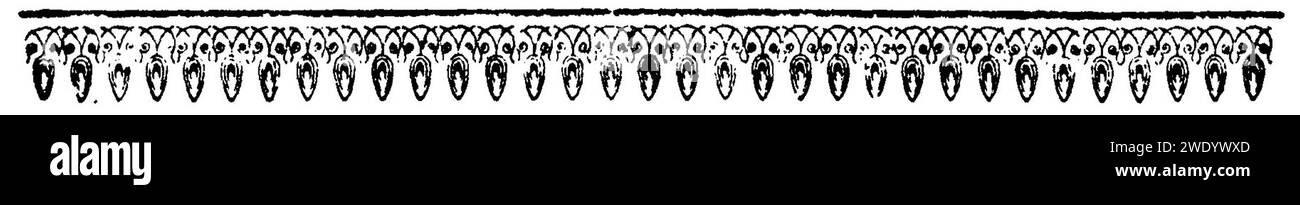 Agostini - Guida illustrata di Montepiano e sue adiacenze, Ducci ...
