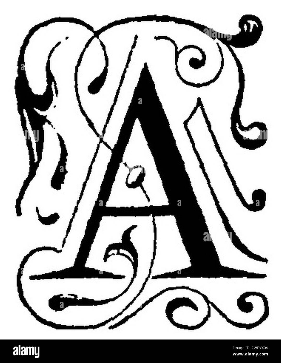 Agostini - Guida illustrata di Montepiano e sue adiacenze, Ducci ...