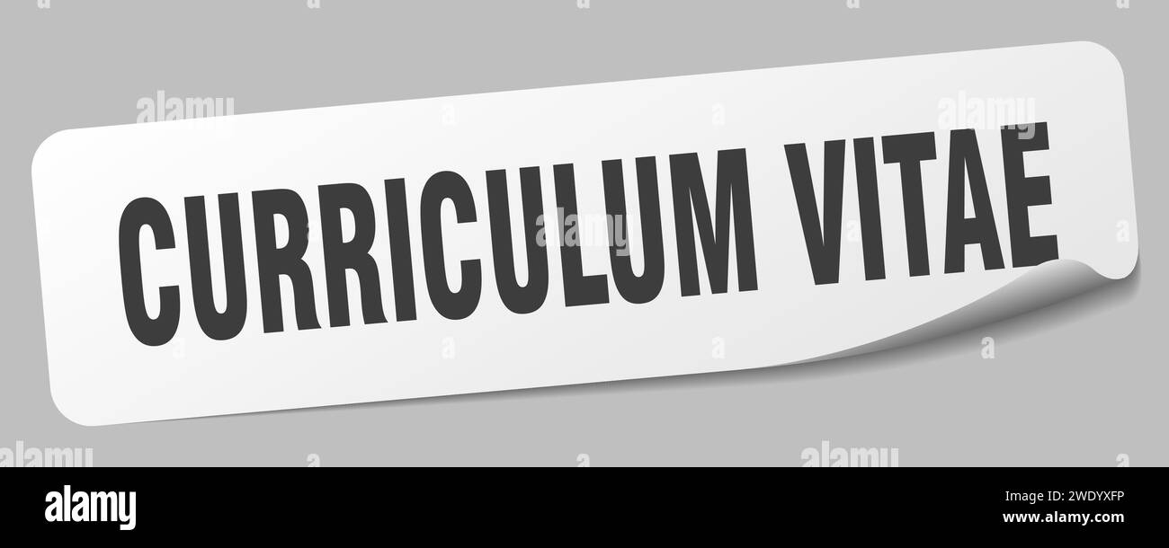curriculum vitae sticker. curriculum vitae rectangular label isolated ...