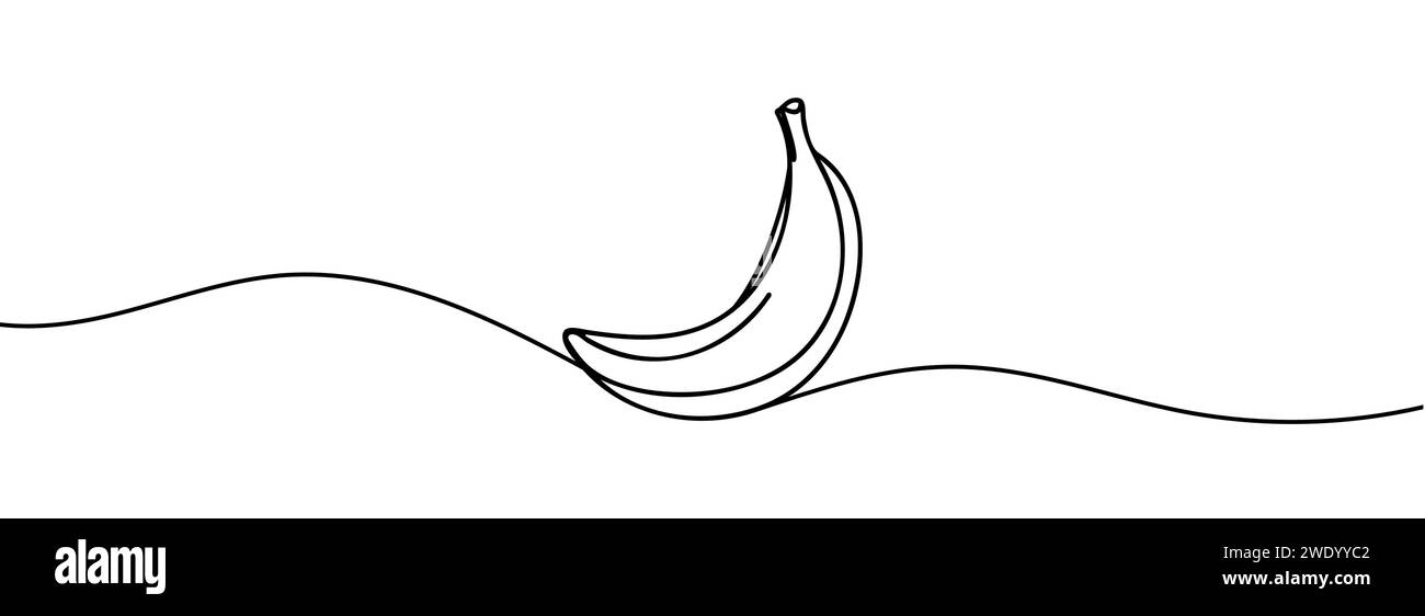 Banana continuous line drawing vector illustration. One line banana ...