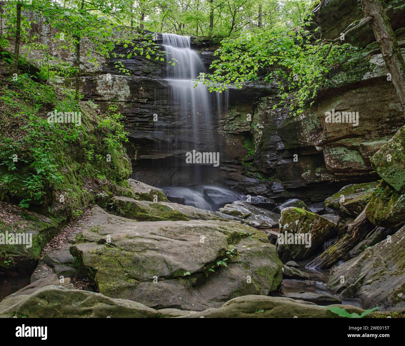 Shawnee national forest hi-res stock photography and images - Alamy