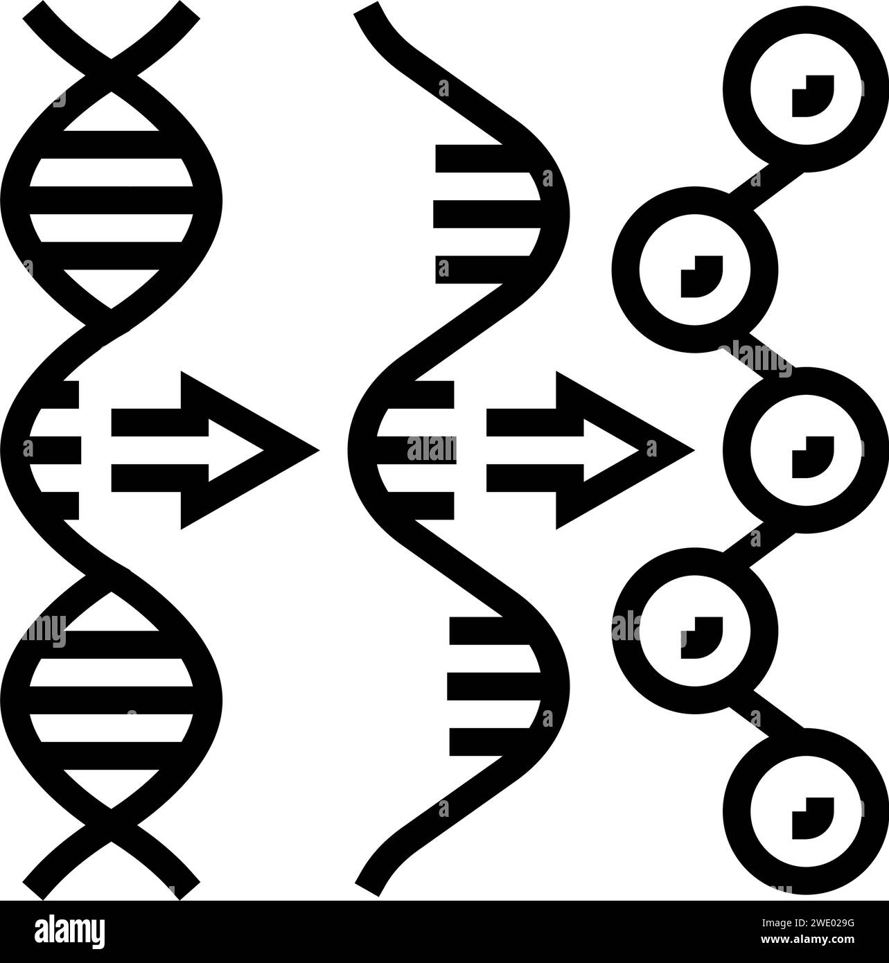 gene expression cryptogenetics line icon vector illustration Stock ...