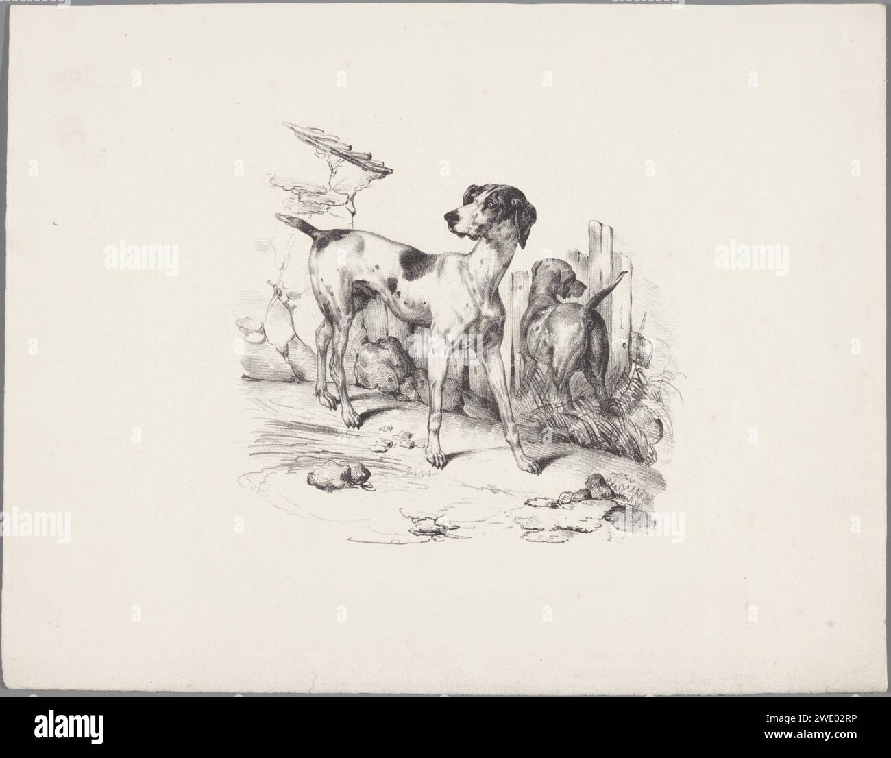 Two dogs at a fence, Anonymous, 1822 - 1845 print The dog in the ...