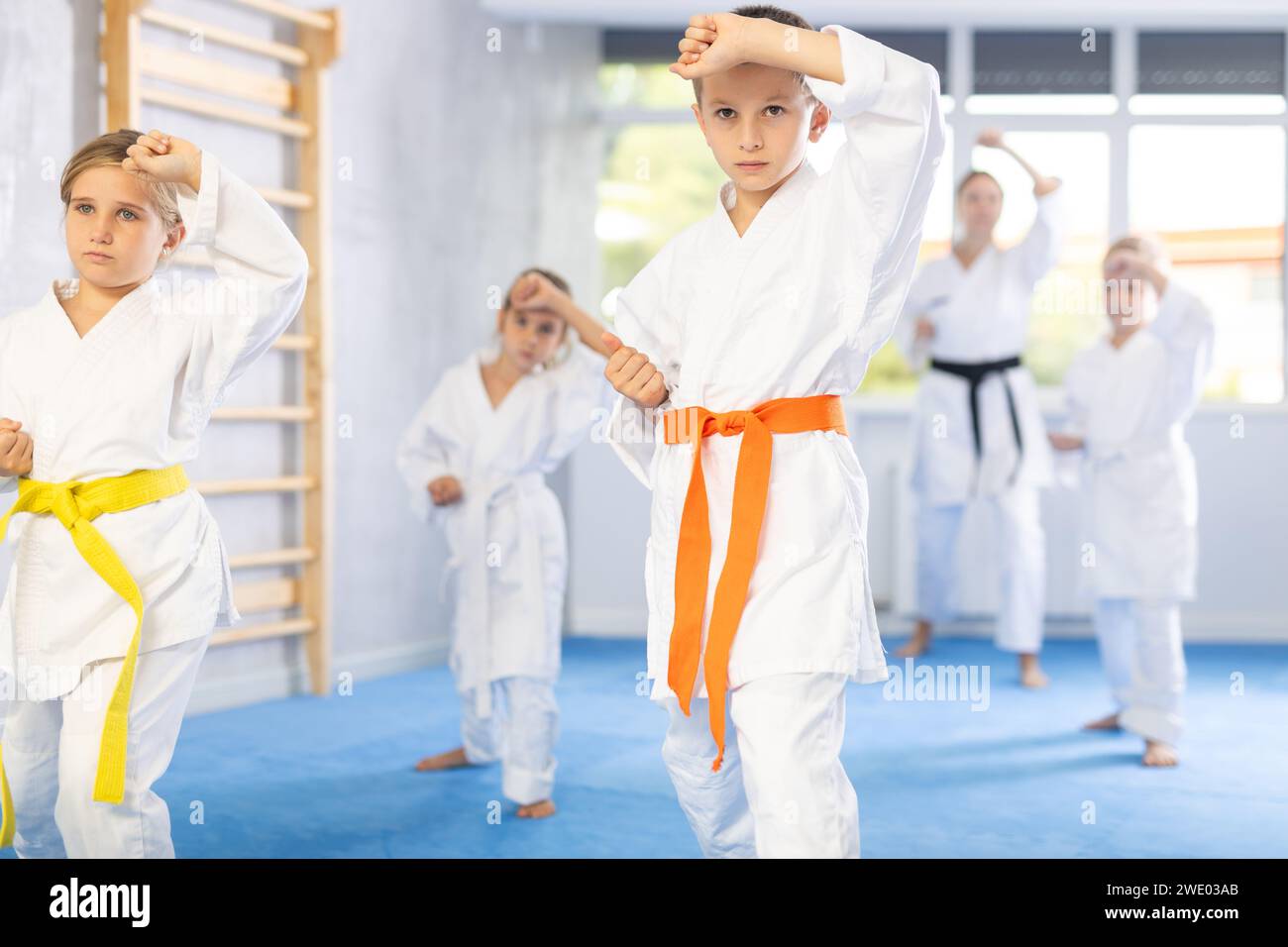 Children students repeat position and perform sequence of punches and ...