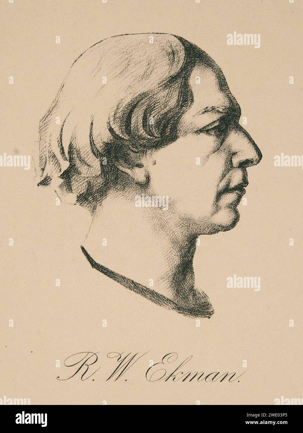 Aino Beckman - Profile portrait drawing of Robert Wilhelm Ekman Stock ...