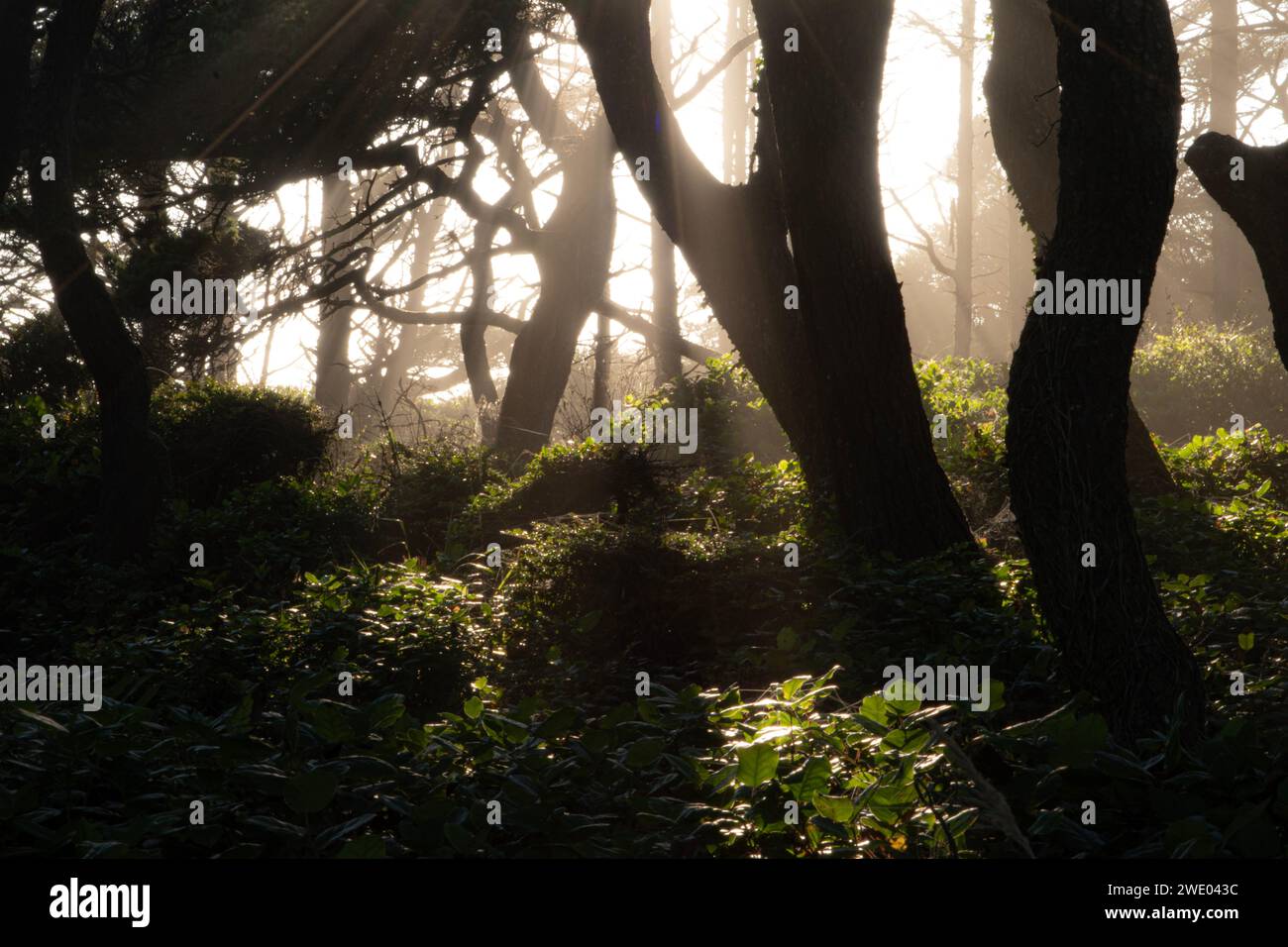 Shadows facing the sun hi-res stock photography and images - Alamy