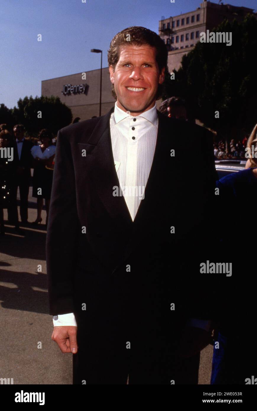 Ron Perlman Circa 1980's Credit: Ralph Dominguez/MediaPunch Stock Photo ...