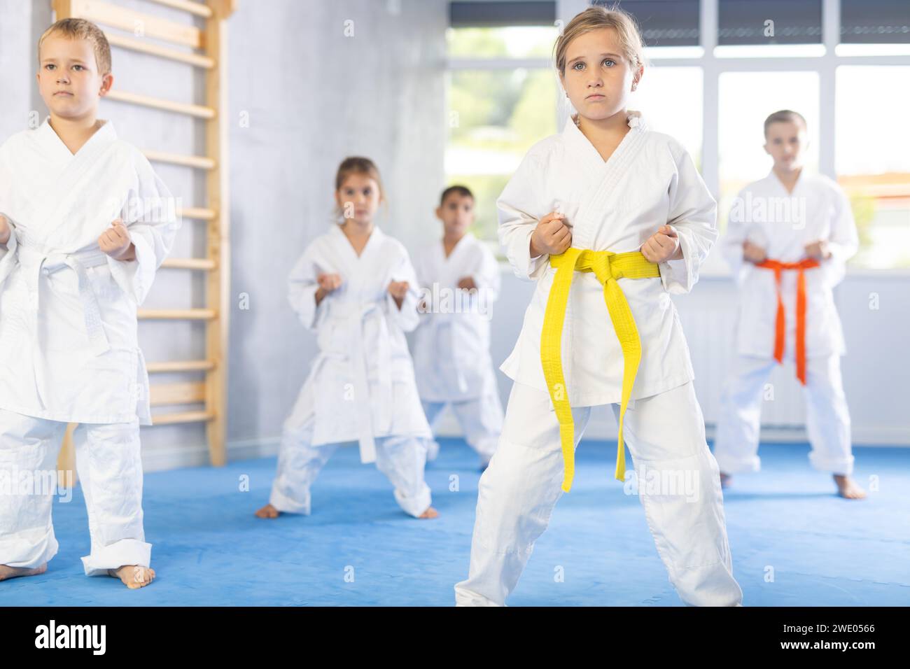 Children students repeat position and perform sequence of punches and ...