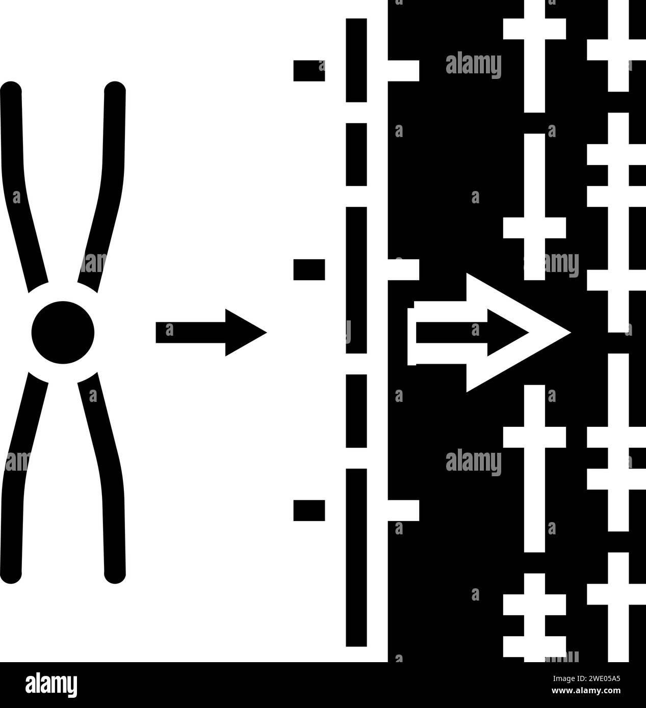gene mapping cryptogenetics glyph icon vector illustration Stock Vector ...