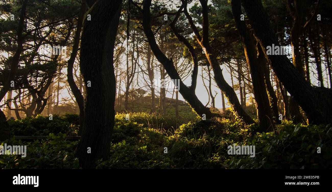 Shadows facing the sun hi-res stock photography and images - Alamy