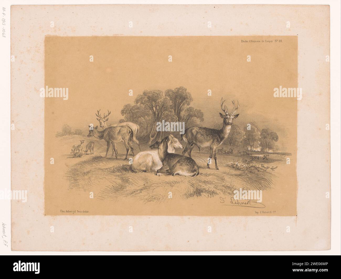 Study of a pack red deer, Pierre Frédéric Lehnert, 1838 - 1840 print ...
