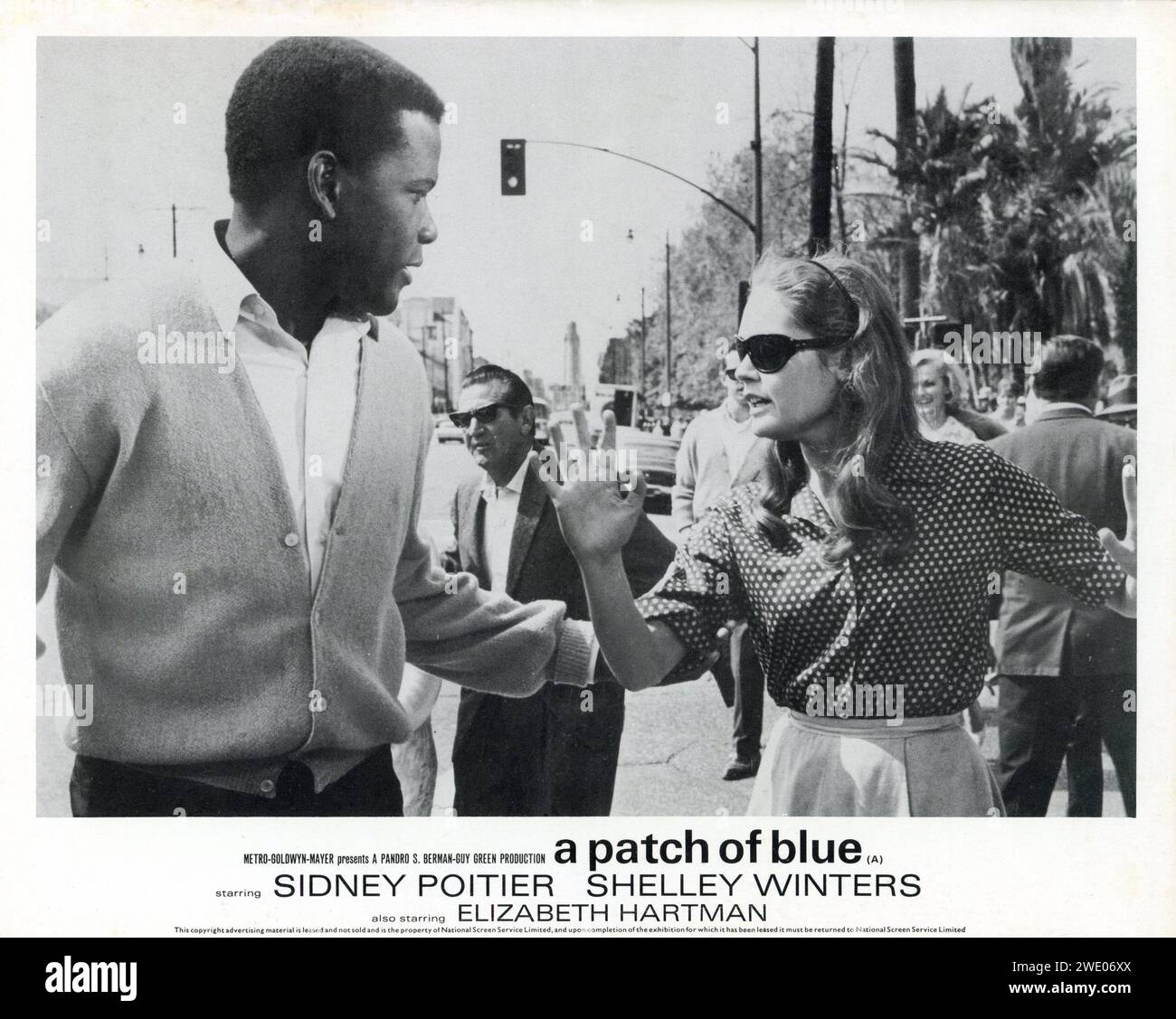 SIDNEY POITIER and ELIZABETH HARTMAN in A PATCH OF BLUE 1965 director ...